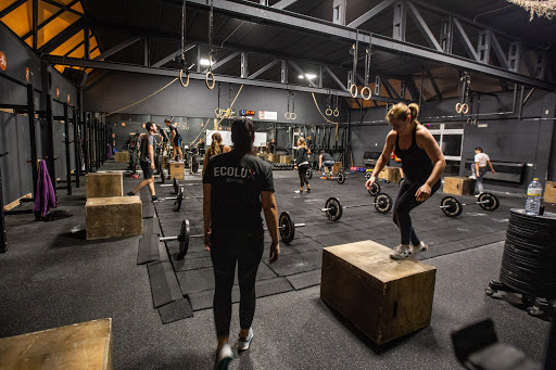 Viding Illes Son Rapinya Xpress Illes Cross – Illes Centros De Wellness ...